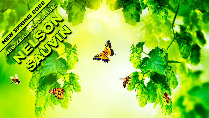 CORE HOP VARIETIES – Wild About Hops